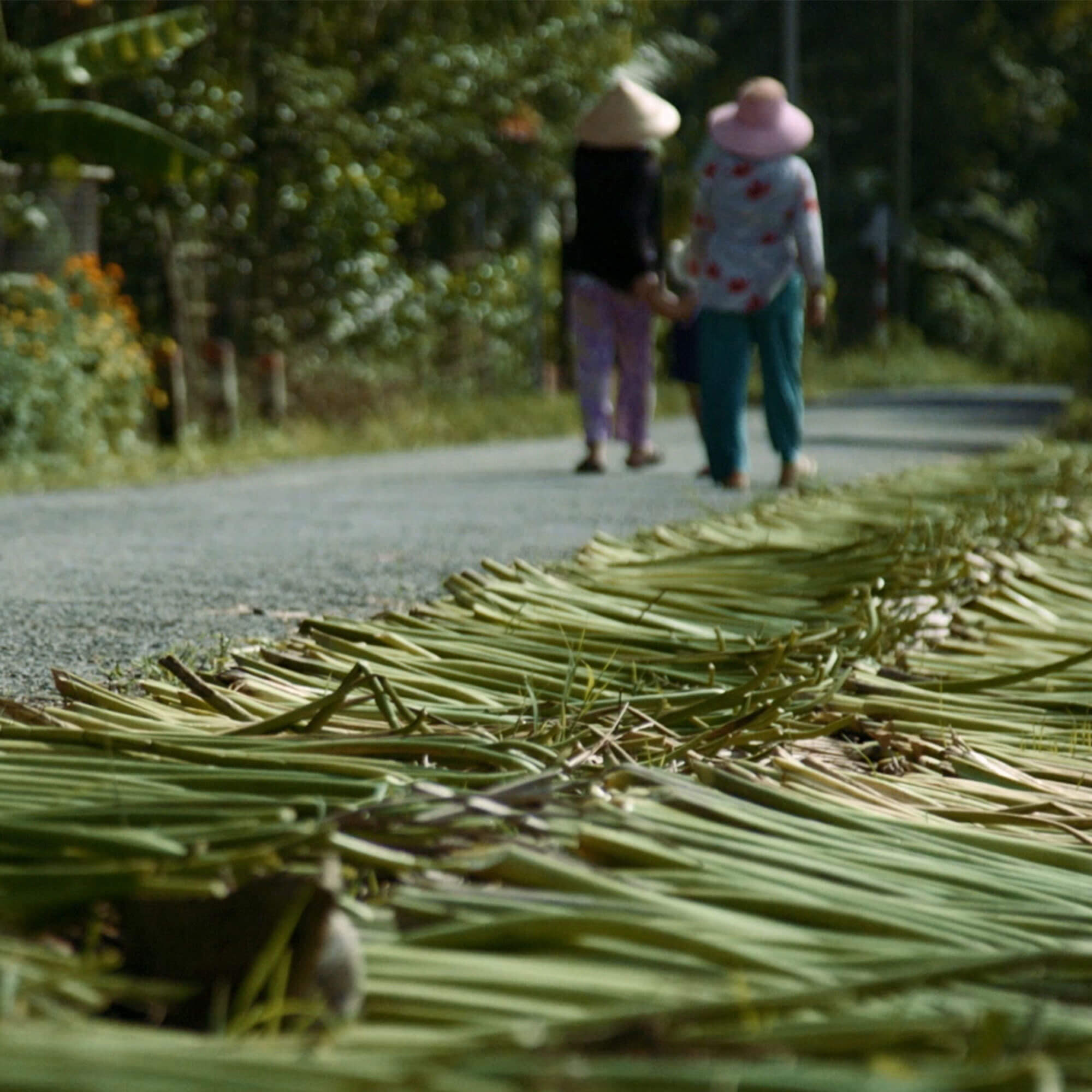 Process of Weaving Water Hyacinth Baskets - Greenvibe