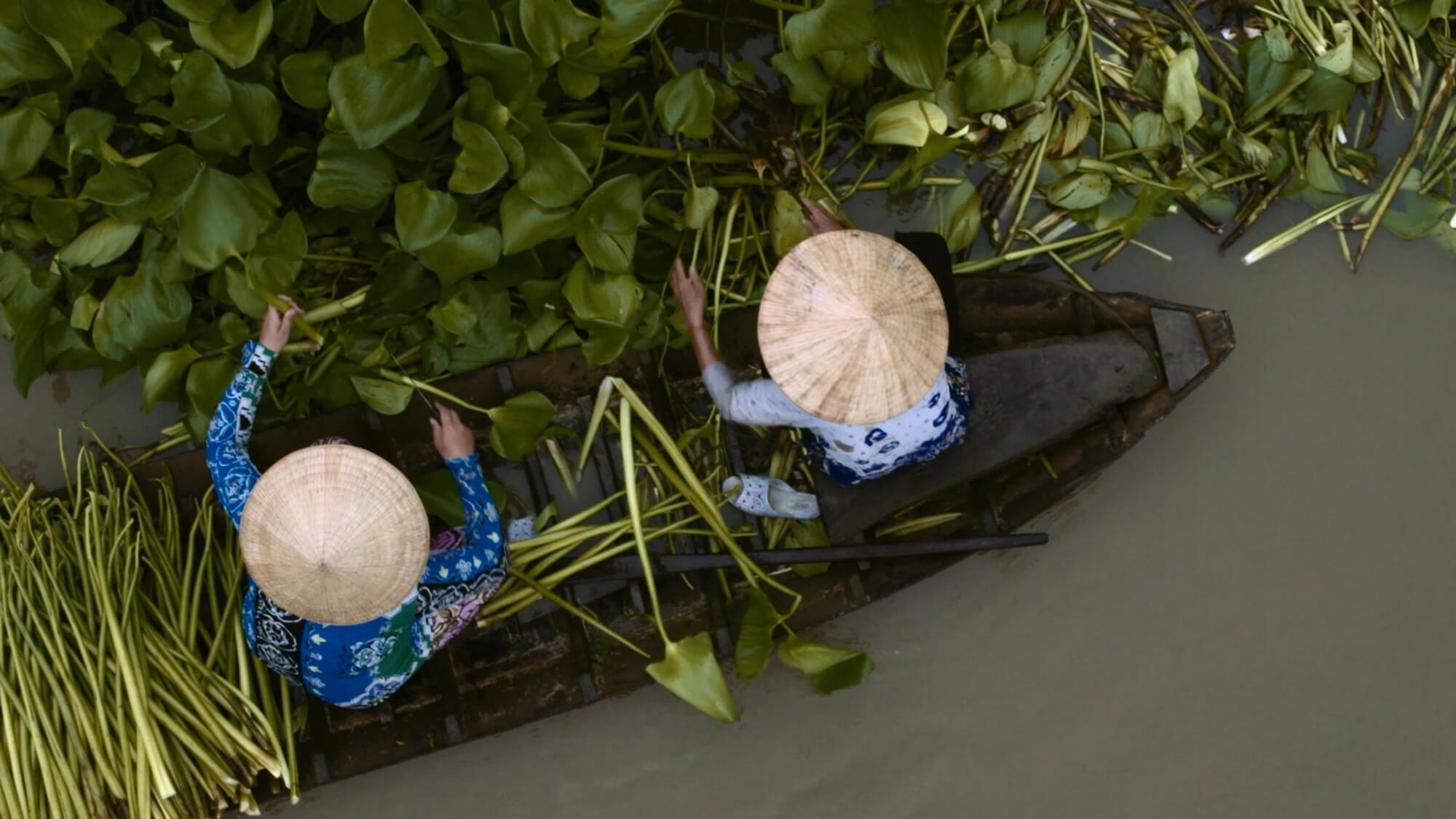 Process of Weaving Water Hyacinth Baskets - Greenvibe